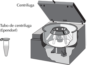 Simple Centrifuge Diagram
